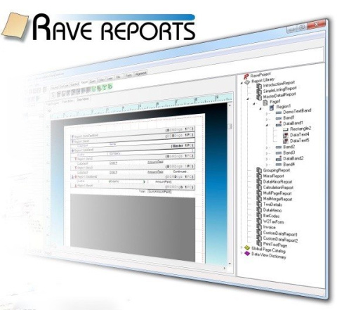 Rave Reports 2024 Architect